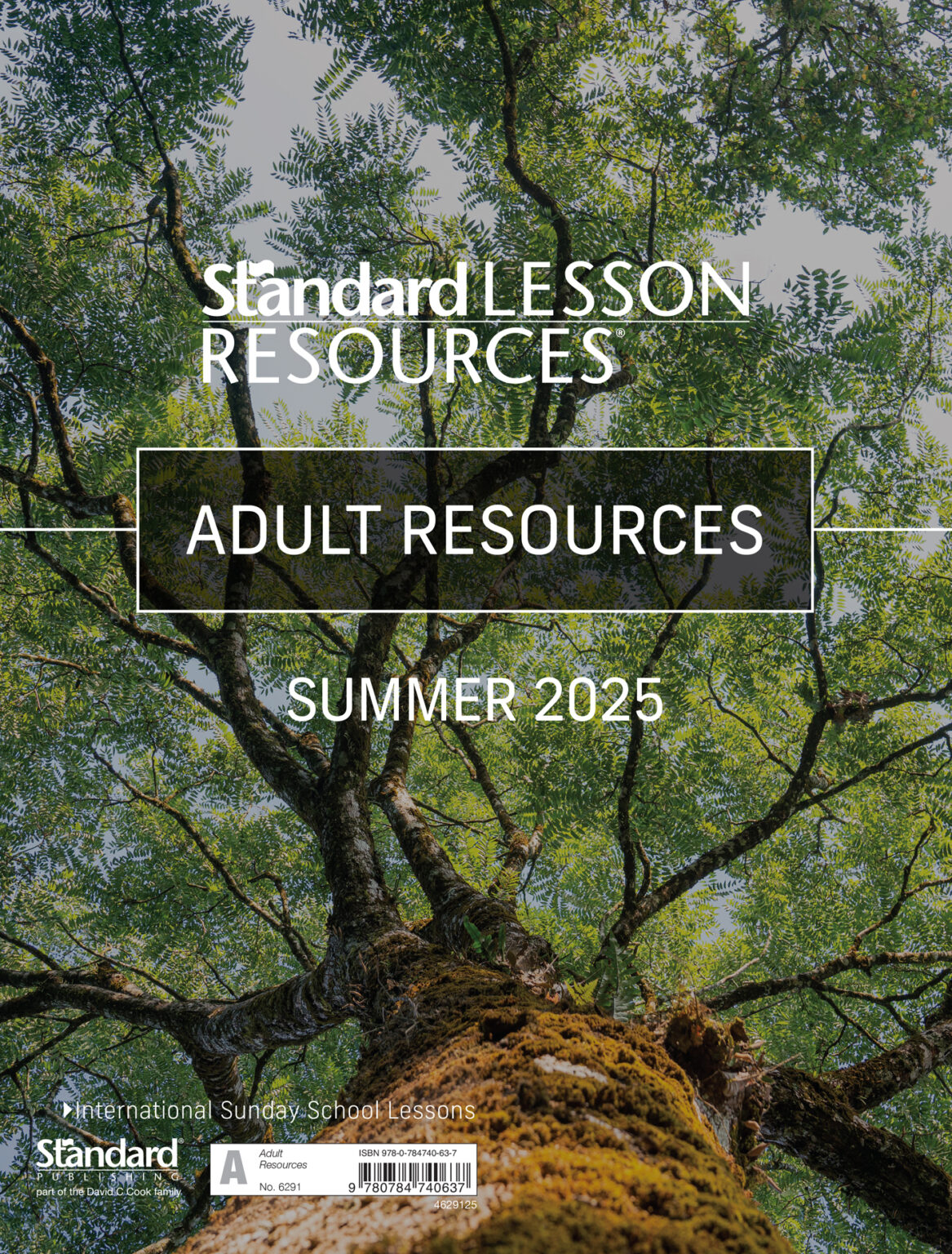 Adult Bible Commentary Resources - Standard Lesson Resouces
