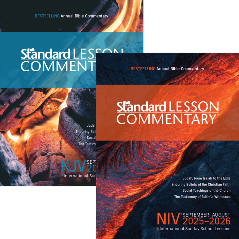 Yearly NIV & KJV Bible Curriculum - Standard Lesson